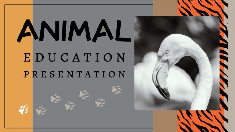 Animal Education | Free Google Slide Theme