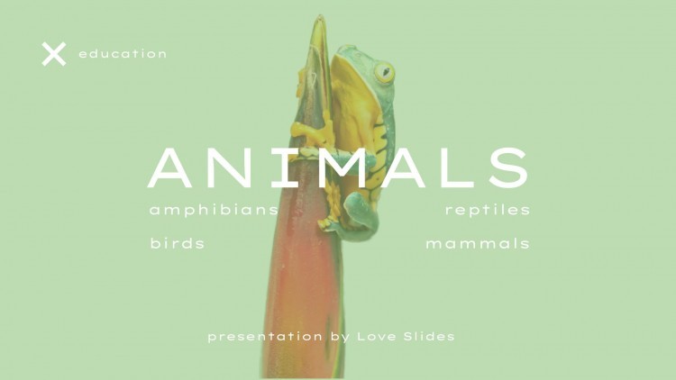 Education Animal Classes | Free Google Slide Theme