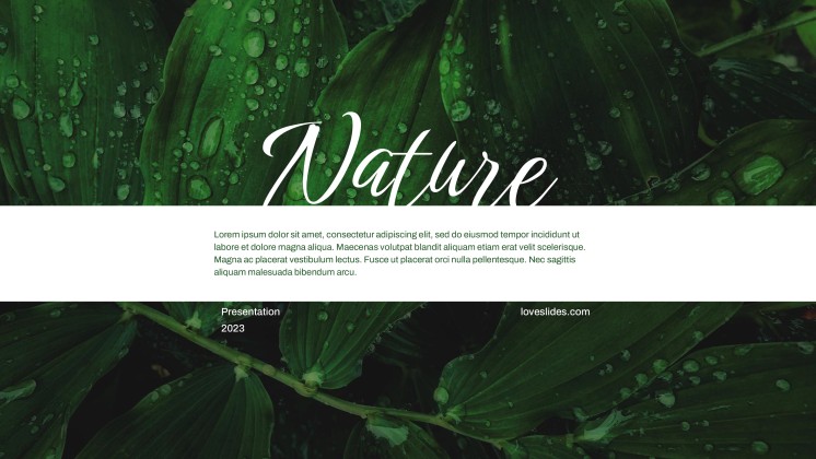 Green Simple Nature | Free Google Slide Theme