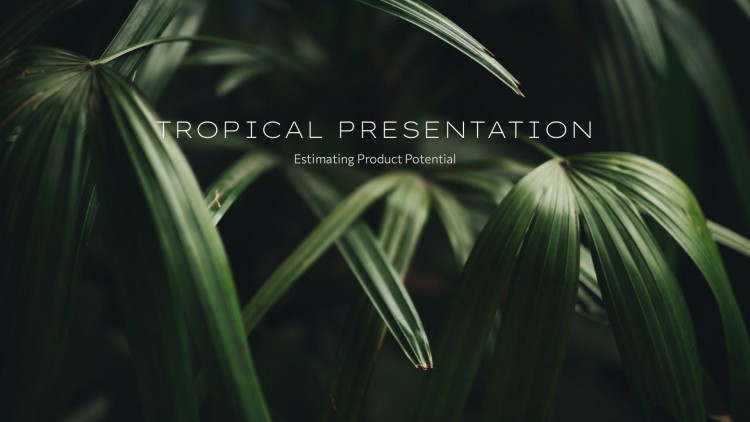Harmonious Tropical | Free Google Slide Theme