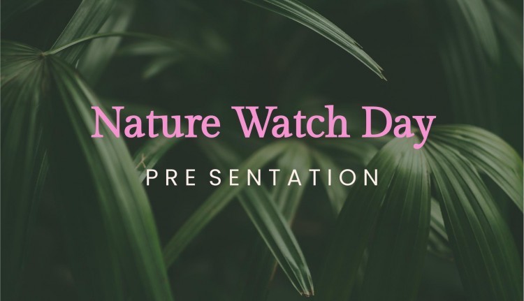 Nature Watch Day | Free Google Slide Theme