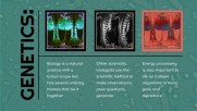 Green Modern Biology | Free Google Slide Theme