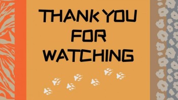 Simple Colorful Education Animal | Free Google Slide Theme