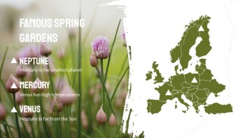 Spring Color Palette | Free Google Slide Theme