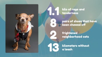 Cute Birthday Dog | Free Google Slide Theme