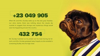 Free Animal Google Slides Themes and Templates | Loveslides.com