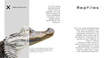 Free Animal Google Slides Themes and Templates | Loveslides.com