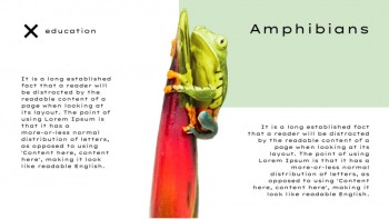 Free Animal Google Slides Themes and Templates | Loveslides.com