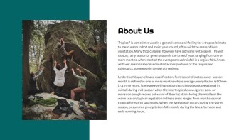 Elegant Bright Tropics | Free Google Slide Theme