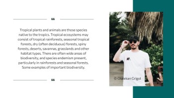 Elegant Bright Tropics | Free Google Slide Theme